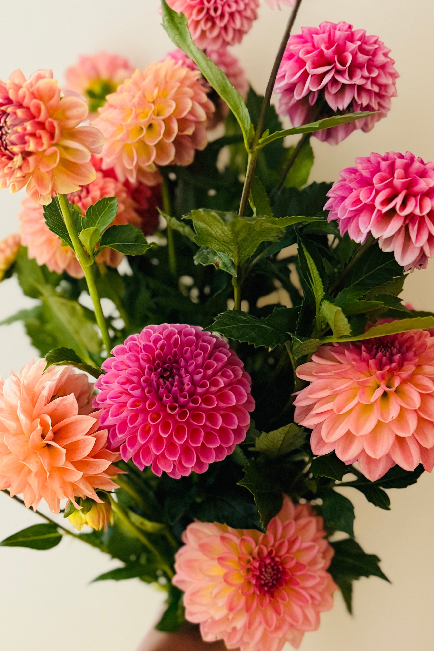 TLC Flowers on Upton Road